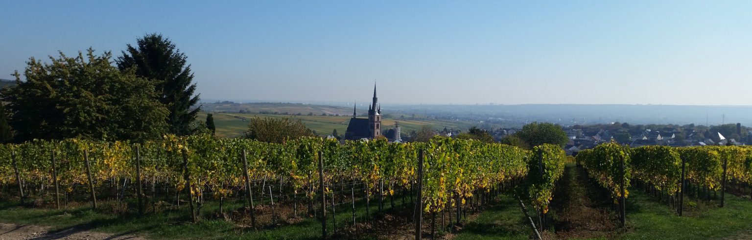 Kiedrich_Herbst | Rheingau-Chuchi-Kiedrich